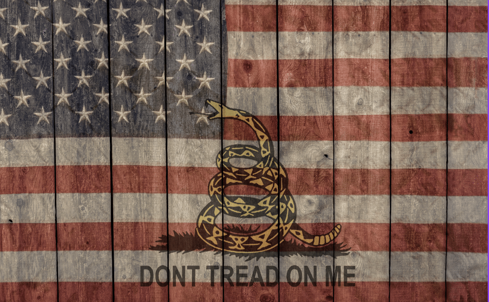 Lie-Spangled Banner? How Woke AI Chatbots Bash Our Founding Fathers ...